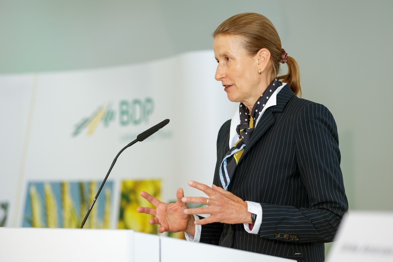 BDP > Presse > Aktuelle Meldungen > Innovation entsteht im System ...